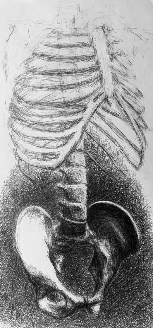 Torso Bones – Ignatian Literary Magazine